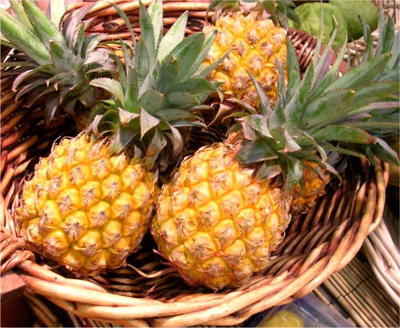 MyPhotoPics: Ανανάς και όμως, είναι θάμνος!