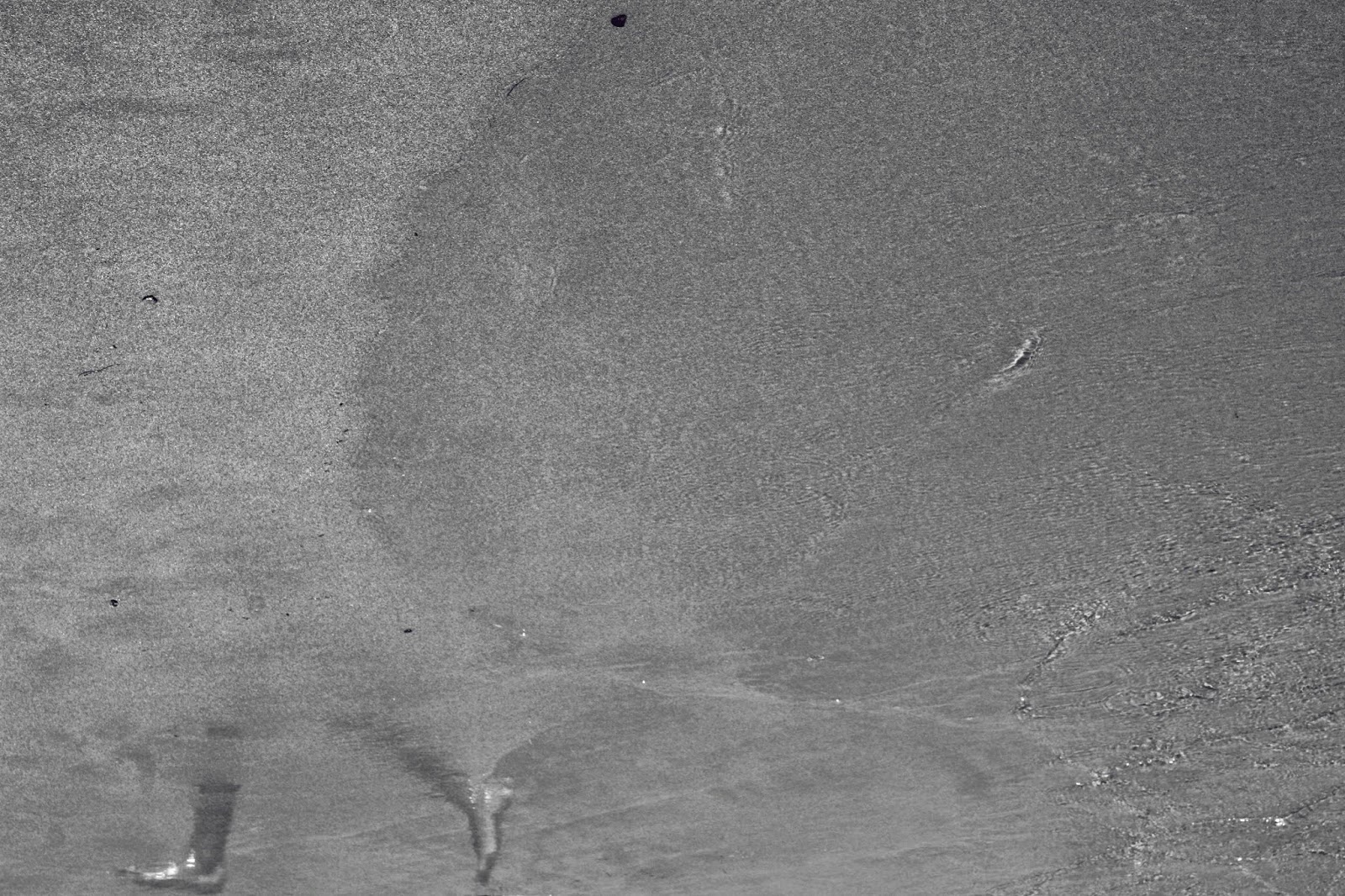 Pirotecnia: MarArado de Jorge Coco Serrano: poéticas del tacto y del ...