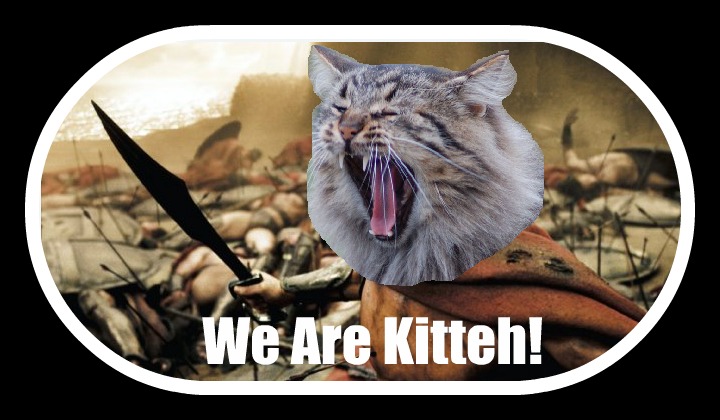 We Are Kitteh!!!: The Kitteh Krew