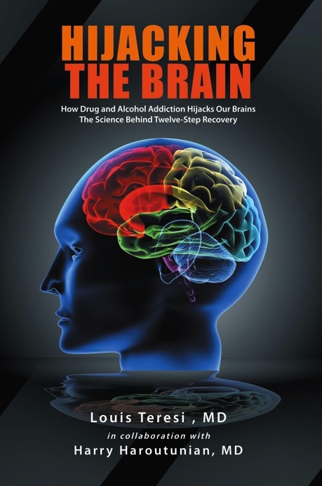Balancing the Books: Book giveaway: 'Hijacking the Brain'