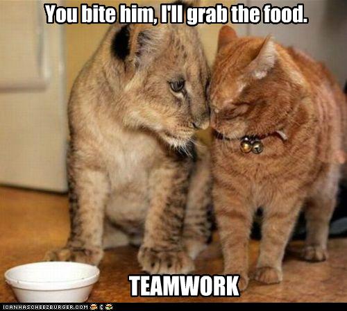 cab drollery: September 2011