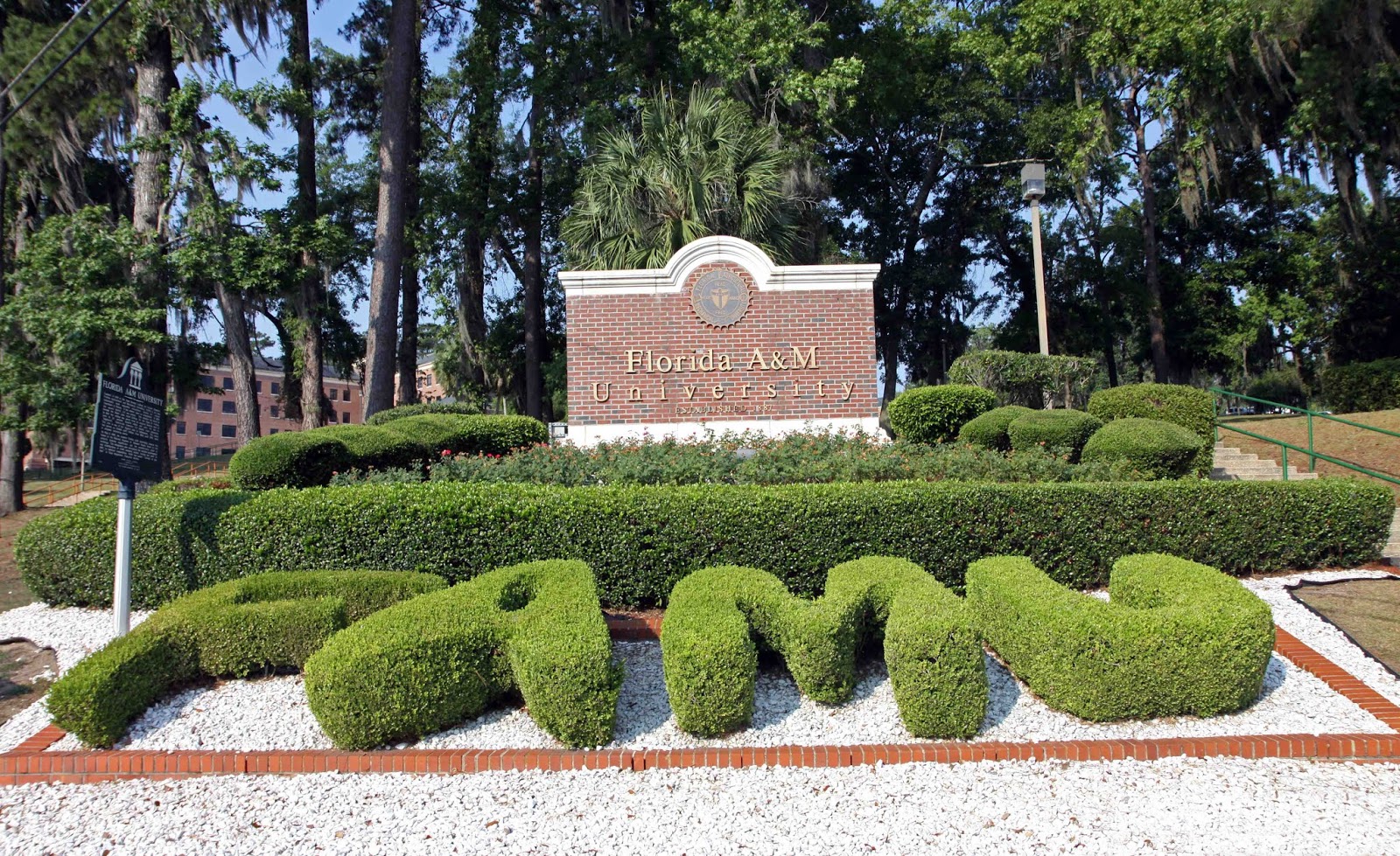 Rattler Nation: More students applying to FAMU, but less than half ...