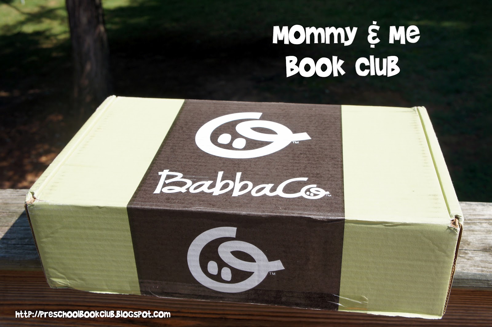 Mommy and Me Book Club: BabbaBox Review and GIVEAWAY