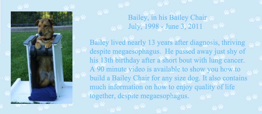 Bailey Chair for Megaesophagus: When You Cannot Build Your Own Bailey Chair