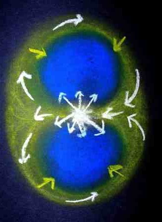 A Simple Explanation of Absolutely Everything: A Simple Explanation of ...