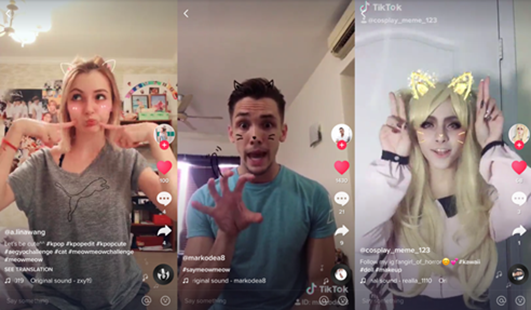 TIKTOK VIRAL HIT SAY MEOW MEOW - 7klik