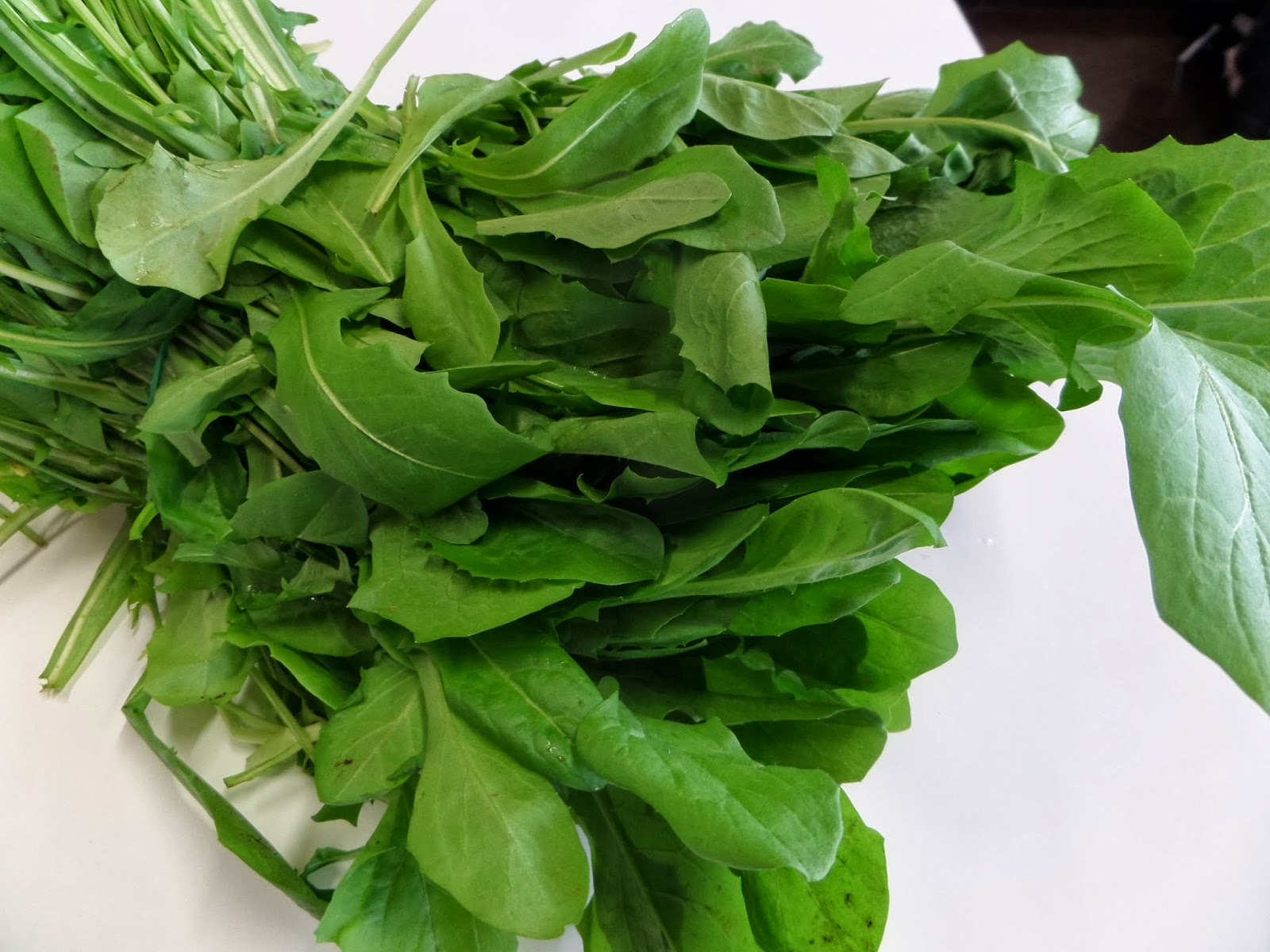 the mAnGiAbles: Chicory: A specialty of Rome and probably a vegetable ...