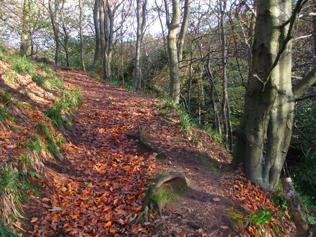 Around the Clyde: Fairlie Castle