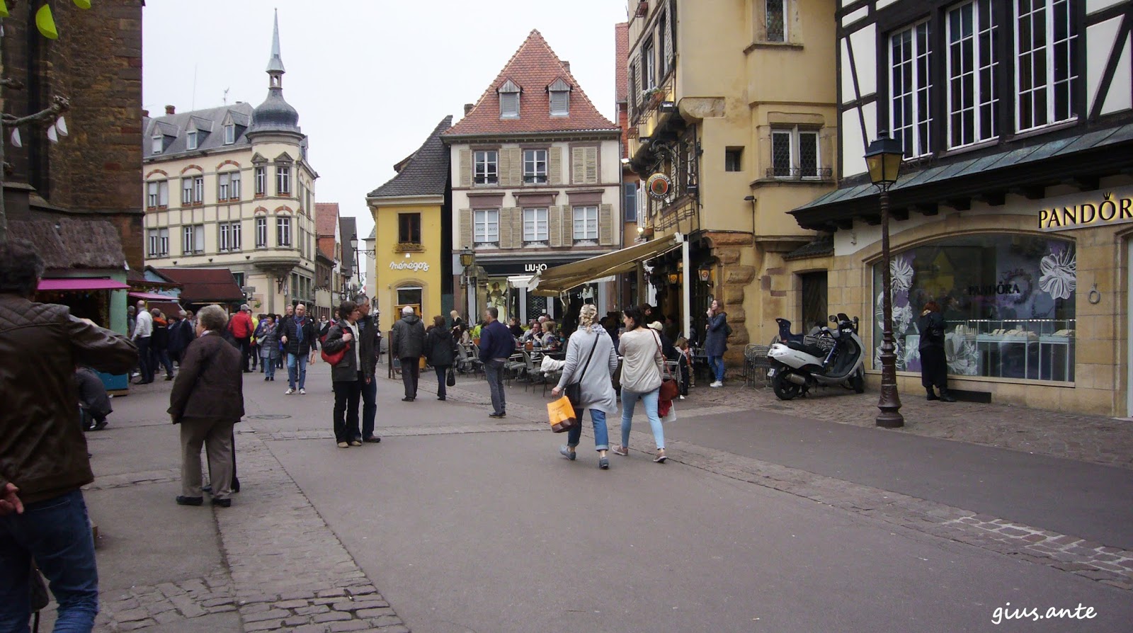 camminare leggendo: Colmar, la Madonna del roseto