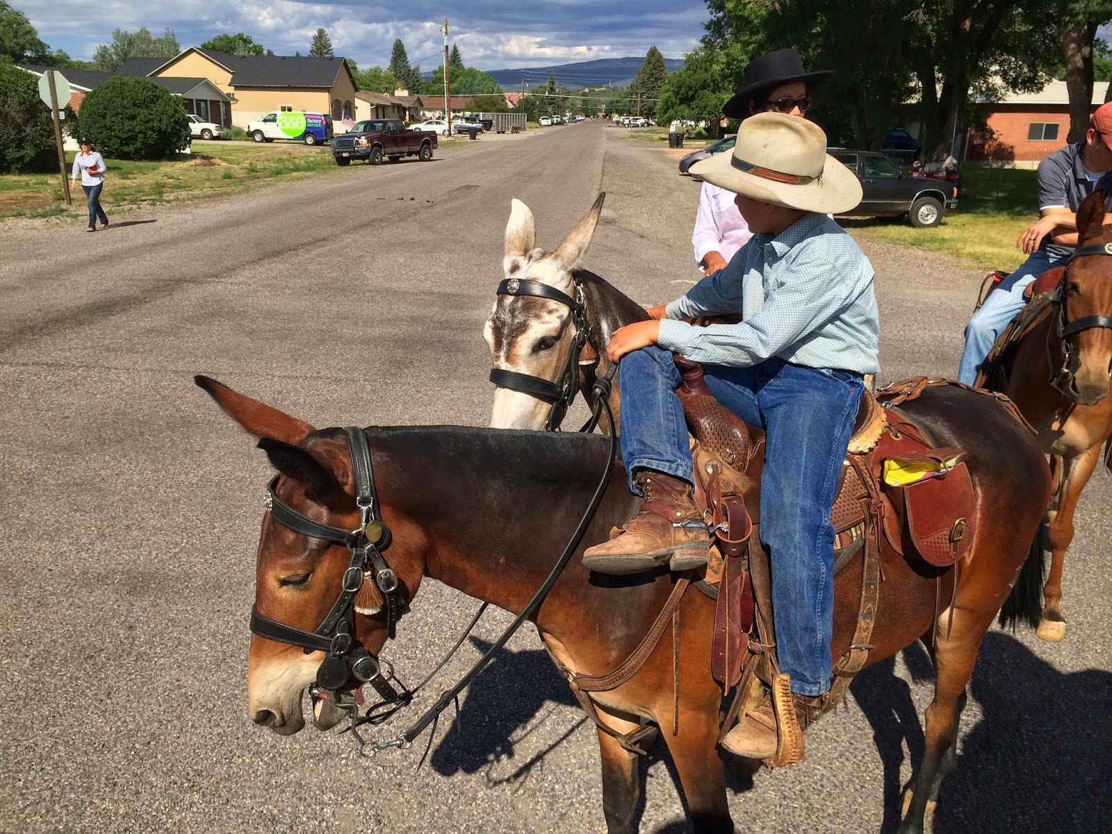 Longears and Sourdough: Southern Missouri Mule