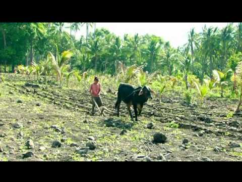 Pangingisda at Pagsasaka