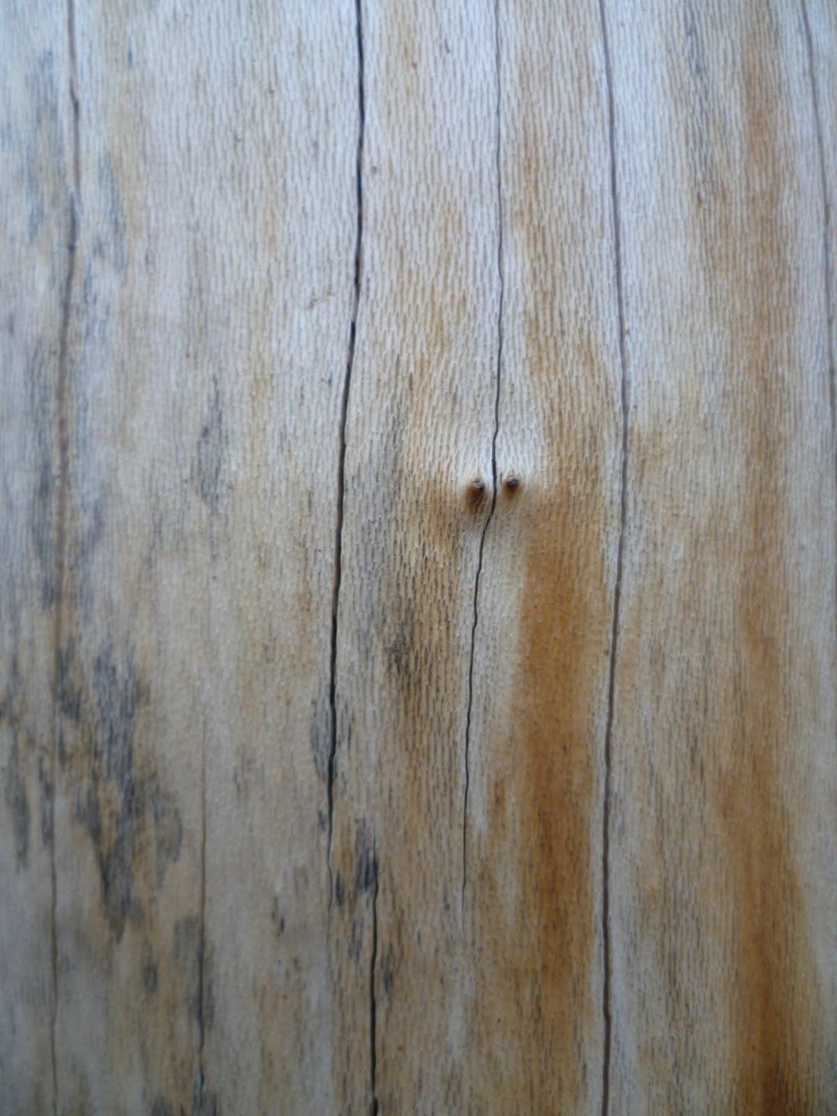 Betas de madera | Todas las texturas