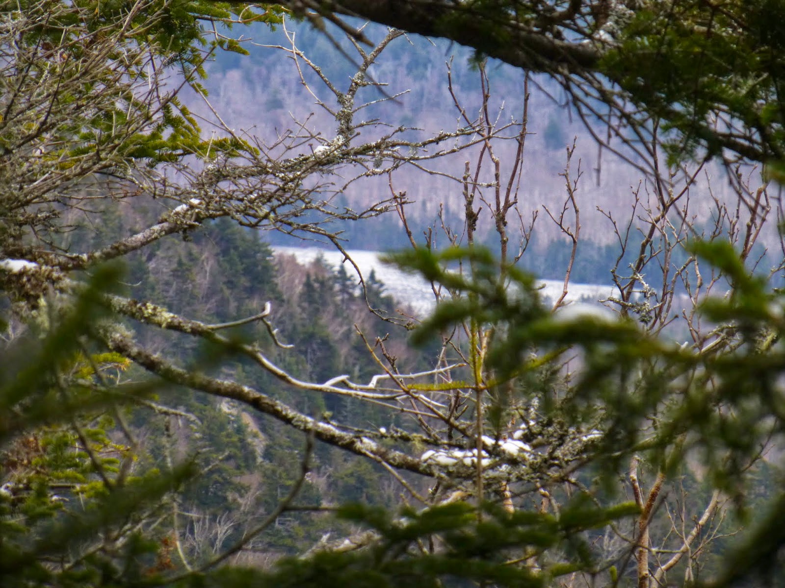 Off on Adventure: Puffer Mountain (3472') and Bullhead Mountain (3432 ...
