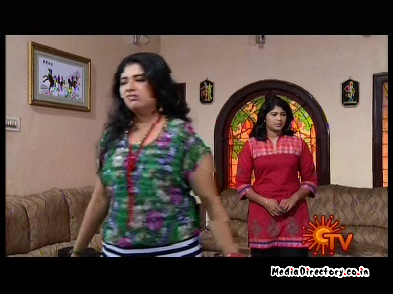 SOAPS(Serials) SNAP SHOTS: BOMMALATTAM Tamil SOAP (SERIAL)