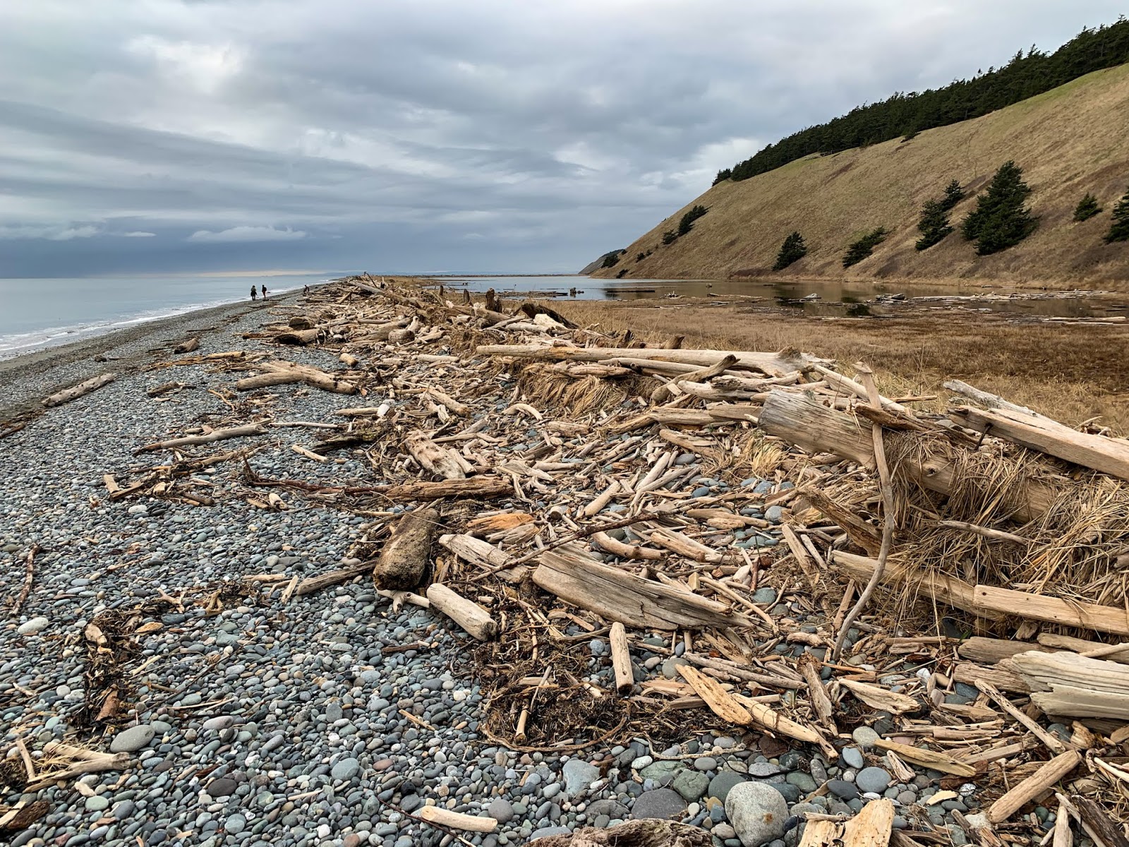 Gravel Beach: February 2019