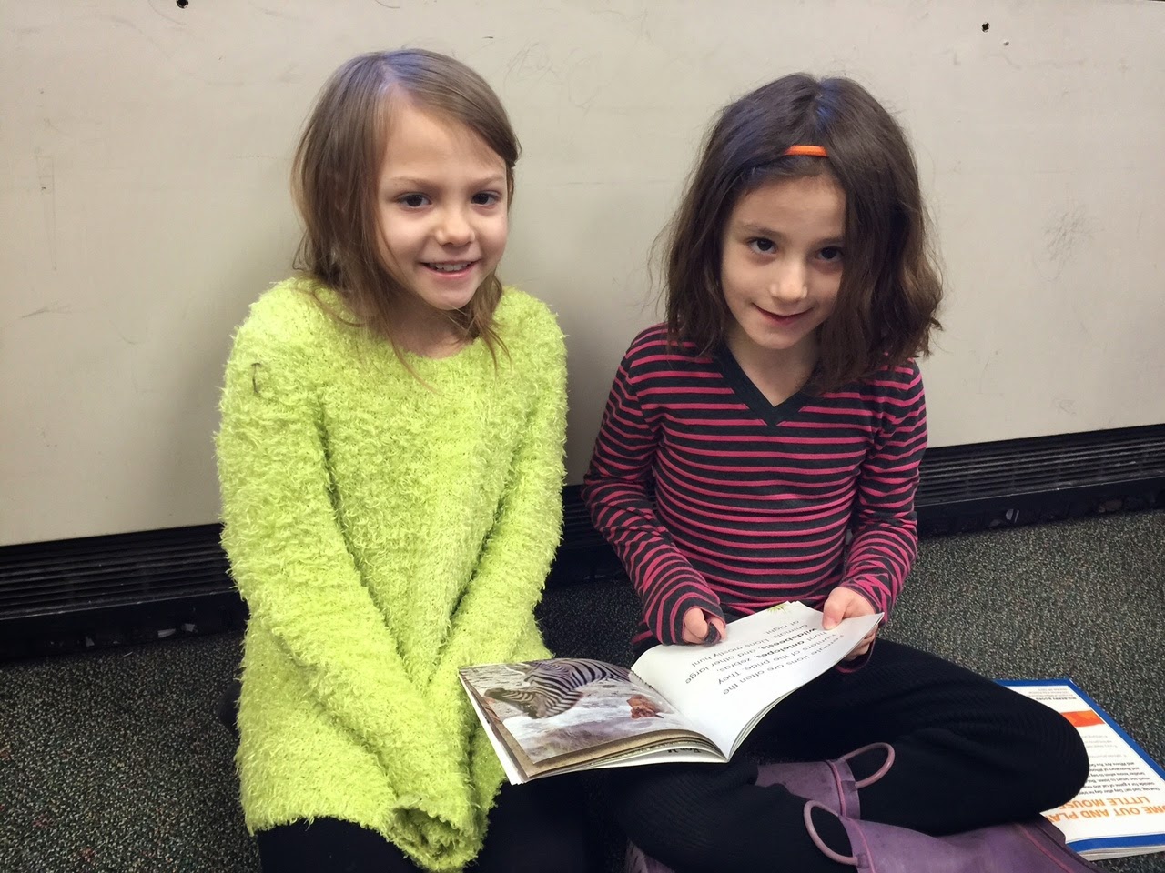 3rd Grade Blog: March 2015