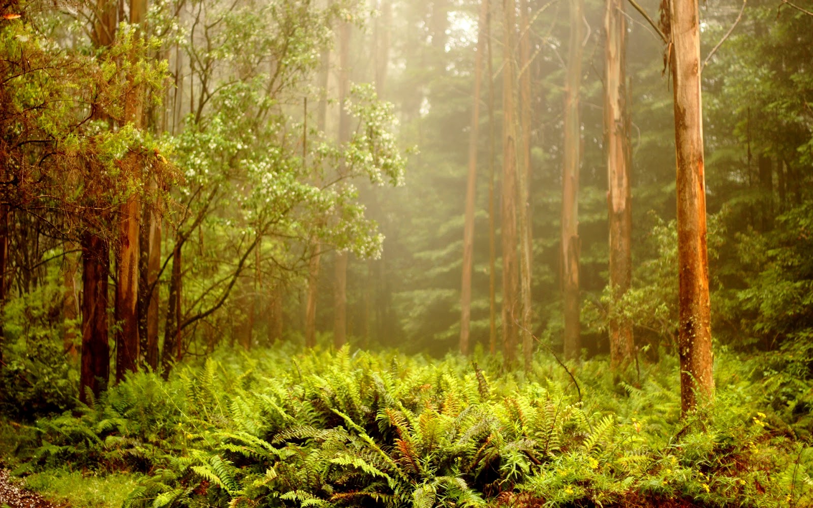 Najpiękniejsze pustynie świata - Guerlain Les Déserts d'Orient część 3 ...
