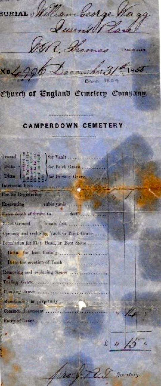 The Webb Wagg Family in Australia