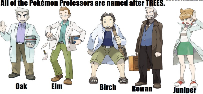 POKEMON FACTS ~ CHETAN DWARKANI