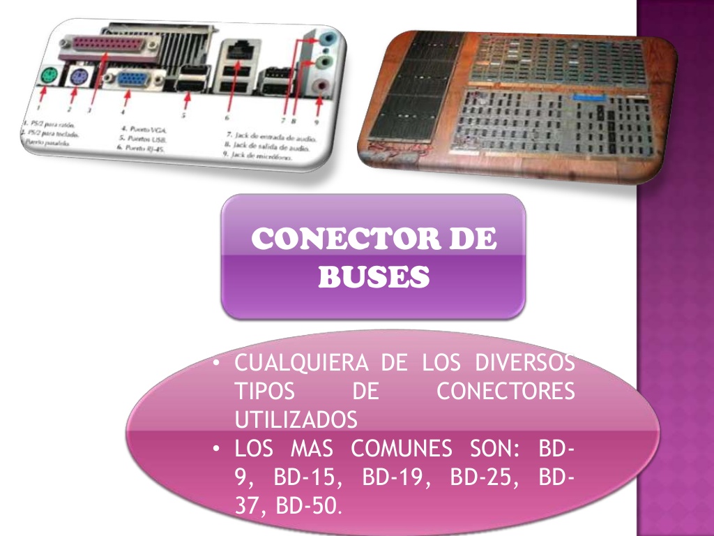 Informática: Placa Madre : Bus de Datos