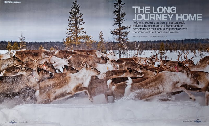 GARY LATHAM PHOTOGRAPHY: REINDEER MIGRATION, LAPLAND : Lonely Planet ...