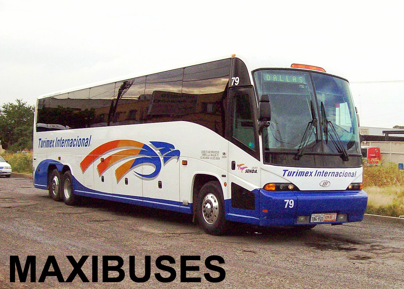 MAXIBUSES: TURIMEX INTERNACIONAL