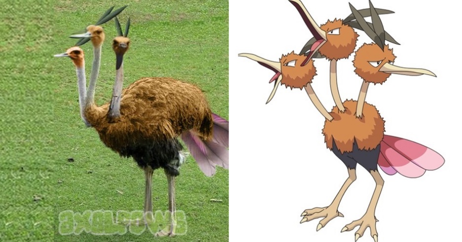 De Caso Com O Acaso!: e se os pokemons fossem reais?