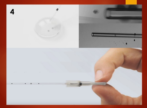 MANUAL DE TECNICAS REPRODUCCION ASISTIDA EN BOVINOS: CRIOPRESERVACION ...