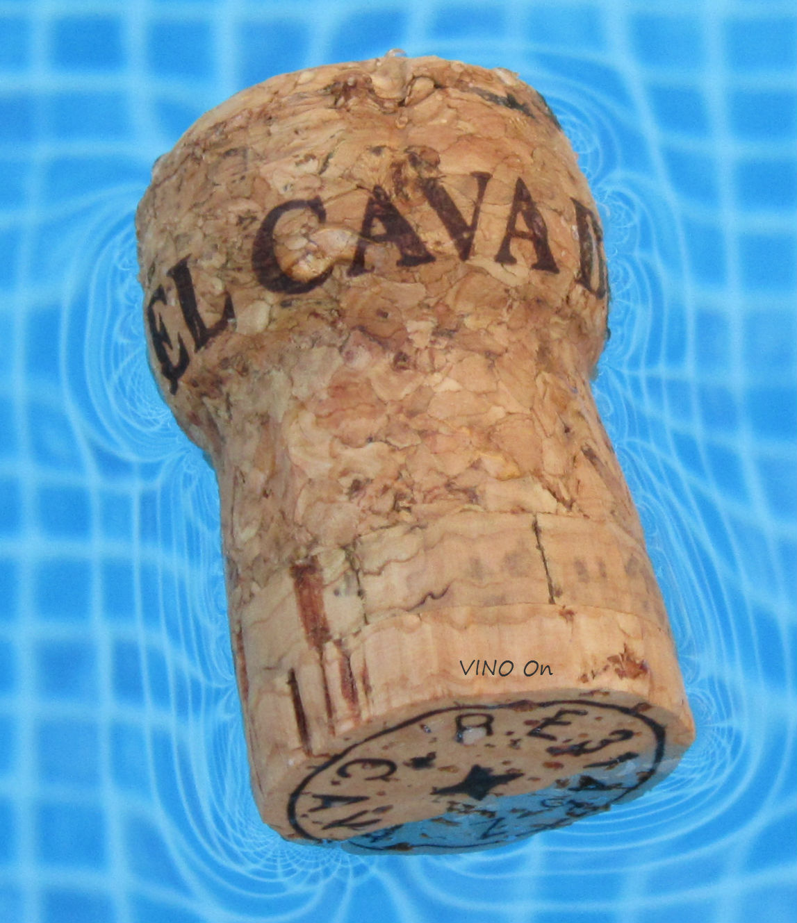 VINO On: Descubre el Cava