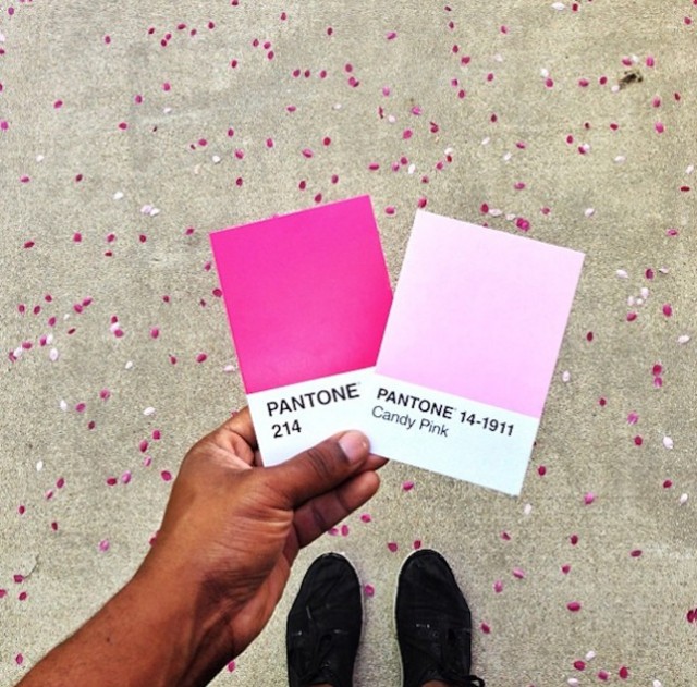 GUAVA: THE PANTONE PROJECT BY PAUL OCTAVIOUS