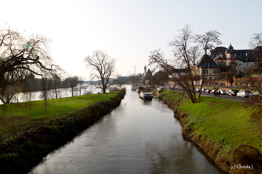 What I Love: Mündung der Nidda in den Main