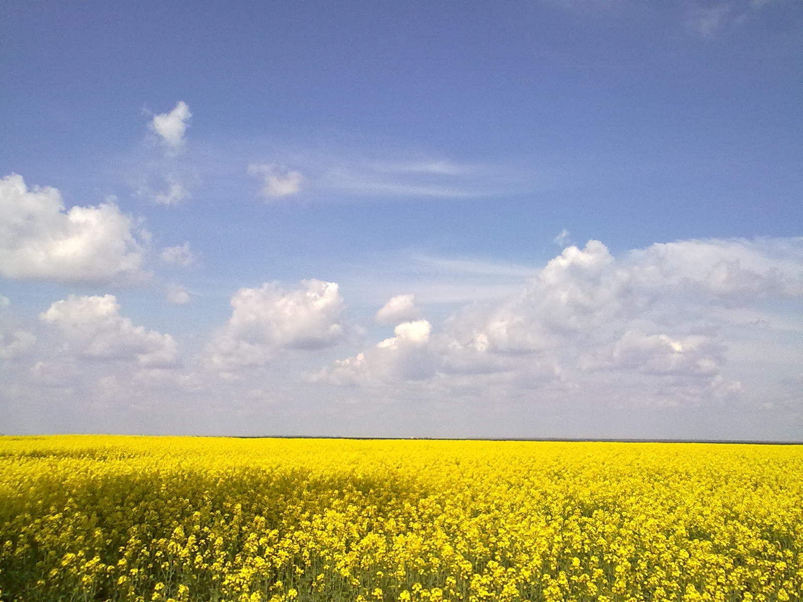 Otra Fachada De Rumania: Lugares misteriosos-3-La maldición de los ...