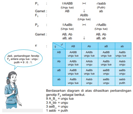 BIOLOGI SMA: Penyimpangan Hukum Mendel