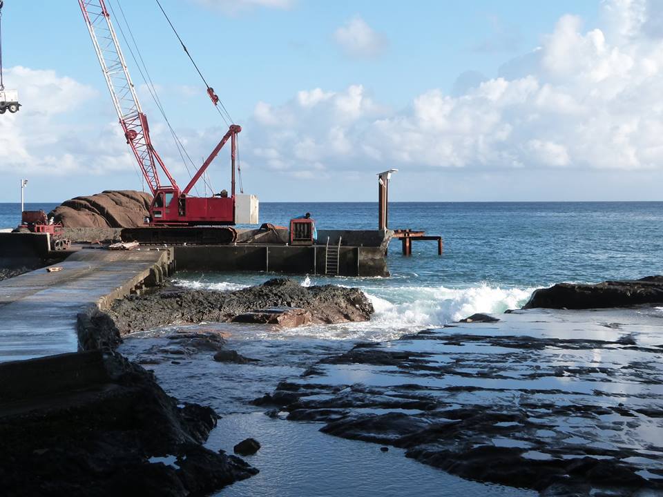 Lazarina des Océans