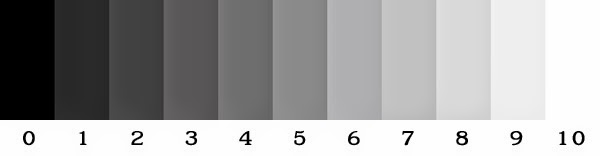 Hoffmann Watercolors: Beginning Watercolor: Monochrome value study 9/25/14