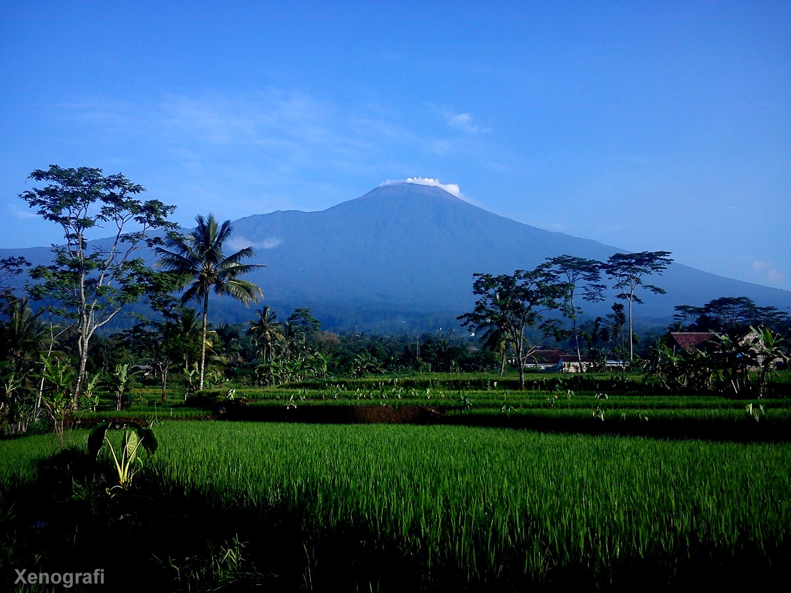 Xenografi: Kompilasi Foto Gunung Slamet
