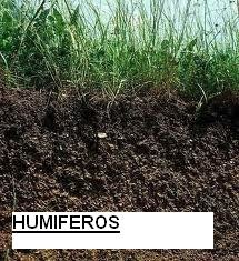 Biología: Caracteristicas de los suelos.