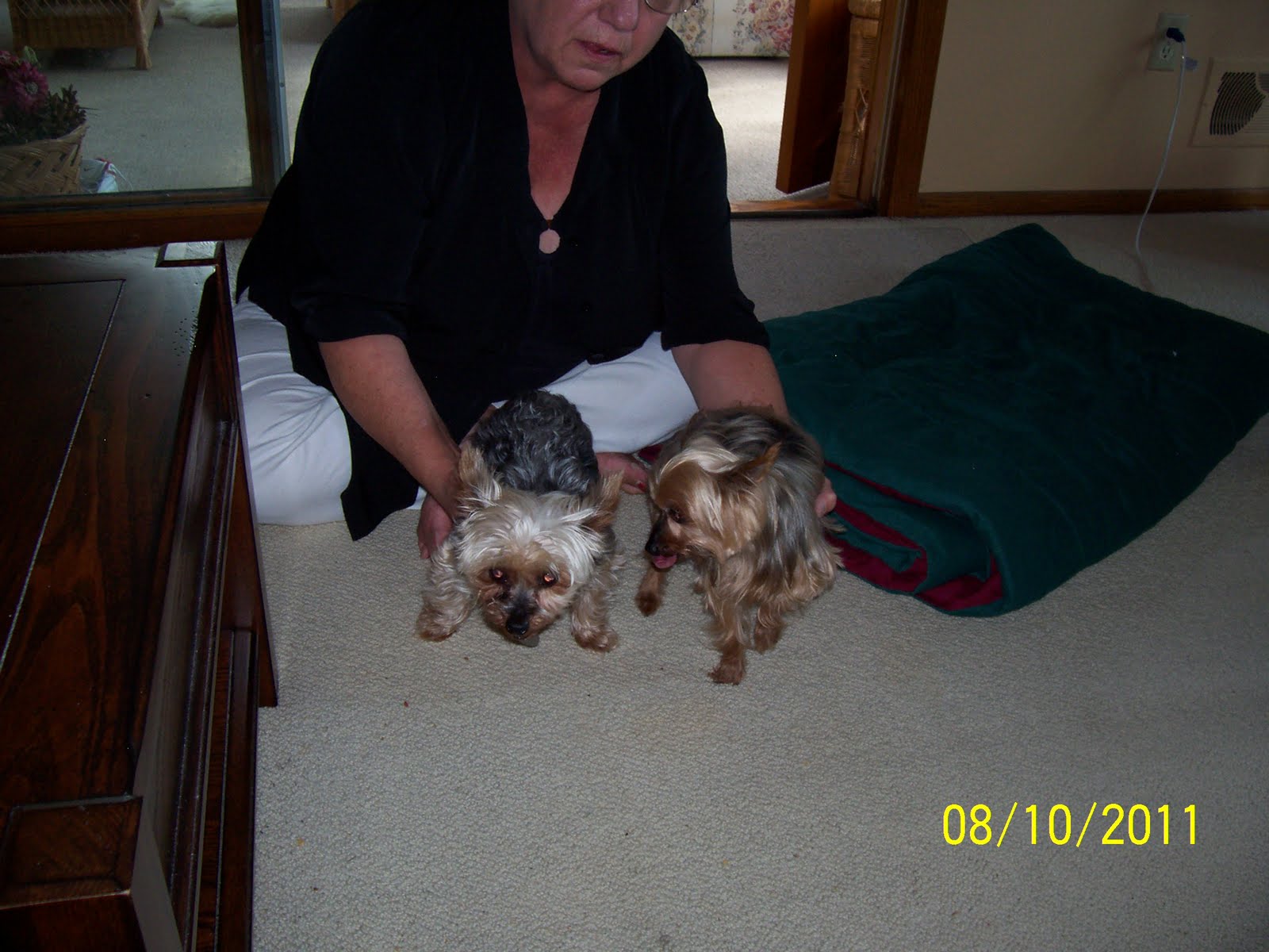 Small Dog Rescue of Minnesota - Rescue and Adoption Blog: August 2011