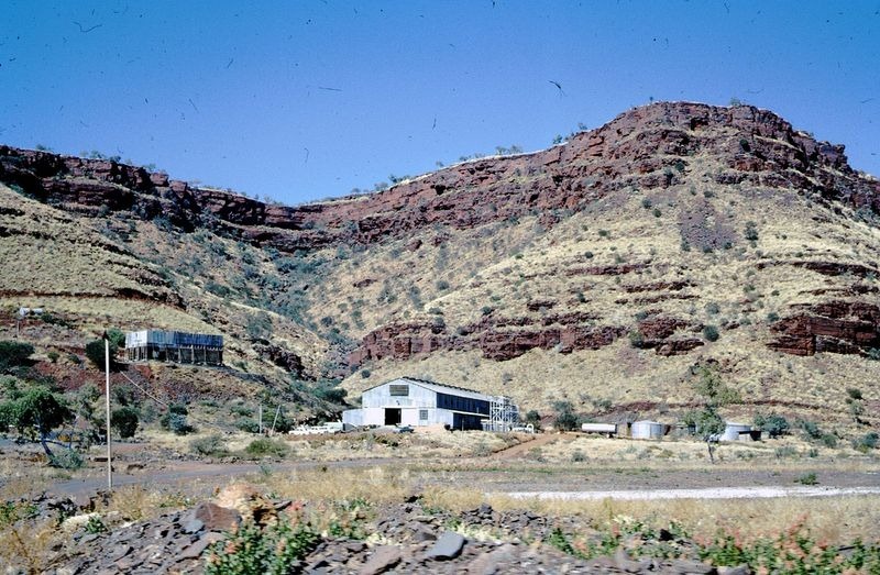 The Asbestos Ghost Town of Wittenoom | Stupid Genie