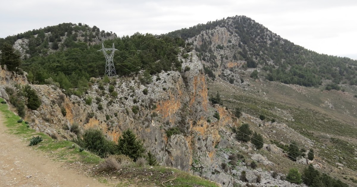 Biodiversity of Cyprus by NGO Protection of the Natural Heritage and ...