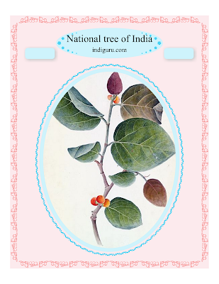 National tree of India