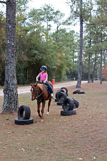 Beloved Bride: A "Practical" Horse Obstacle Course