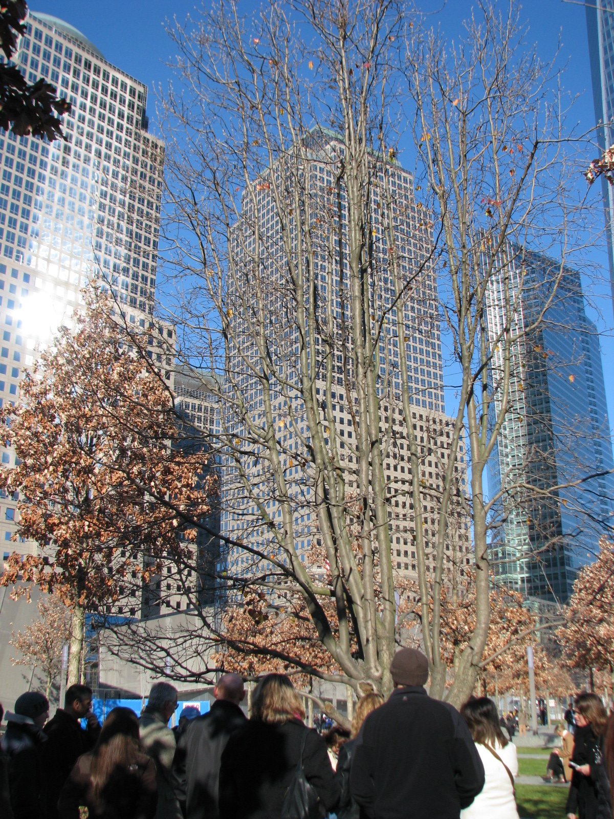 Ann's Great American Road Trip Adventure: Ground Zero Memorial December ...