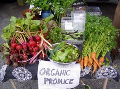 Progressive Charlestown: Worldwide growth of organic farming
