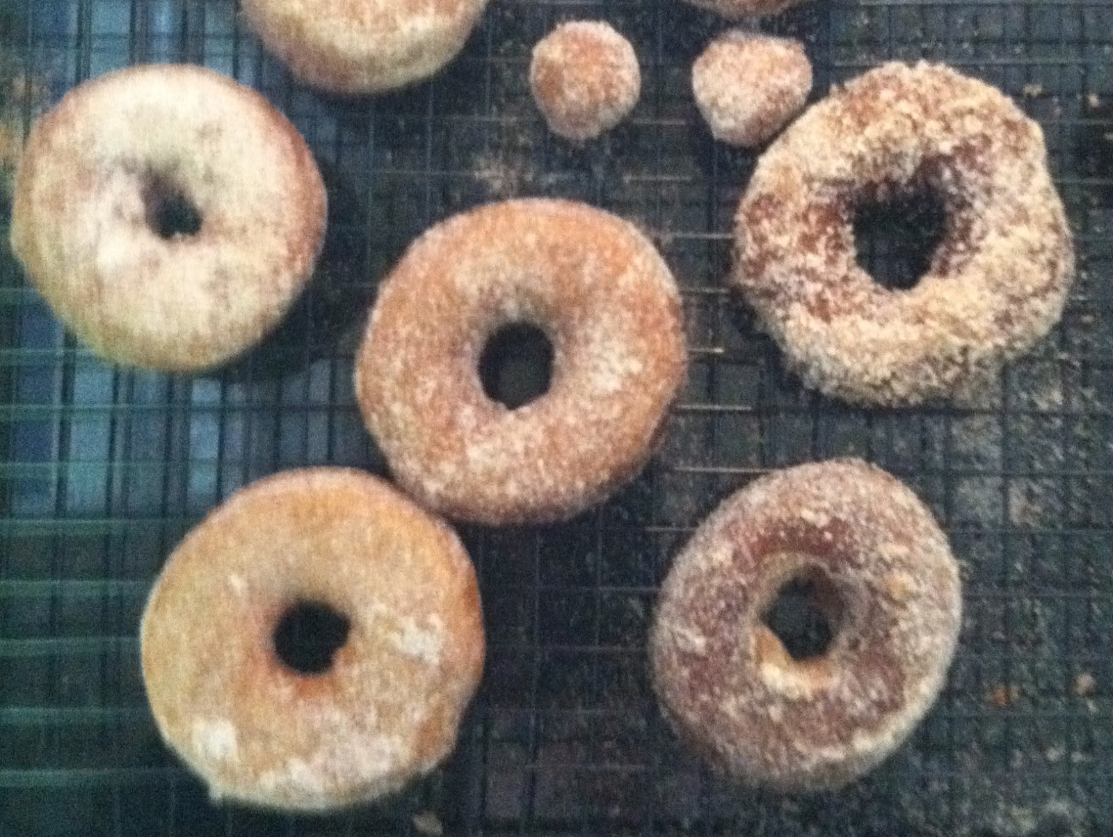 Color Me Caroline: Apple Cider Donuts