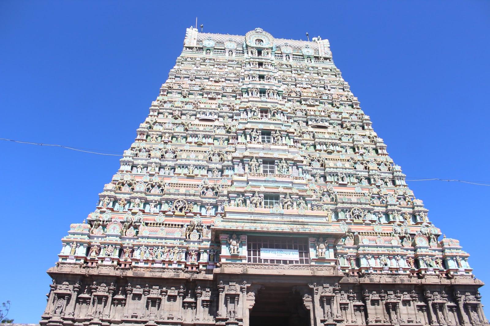 BEST DREAMS HAPPEN WHEN WE ARE AWAKE !!!: SUNFLOWERS OF ...