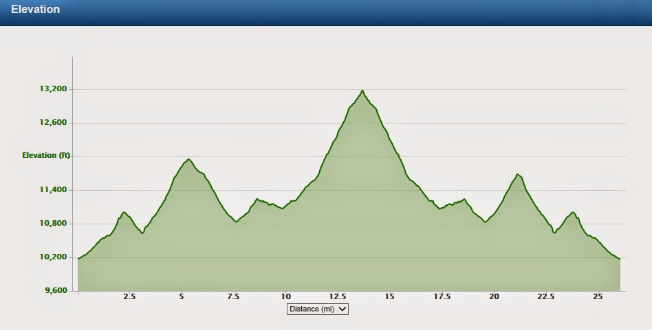 Kate Runs Colorado: Leadville Trail Marathon
