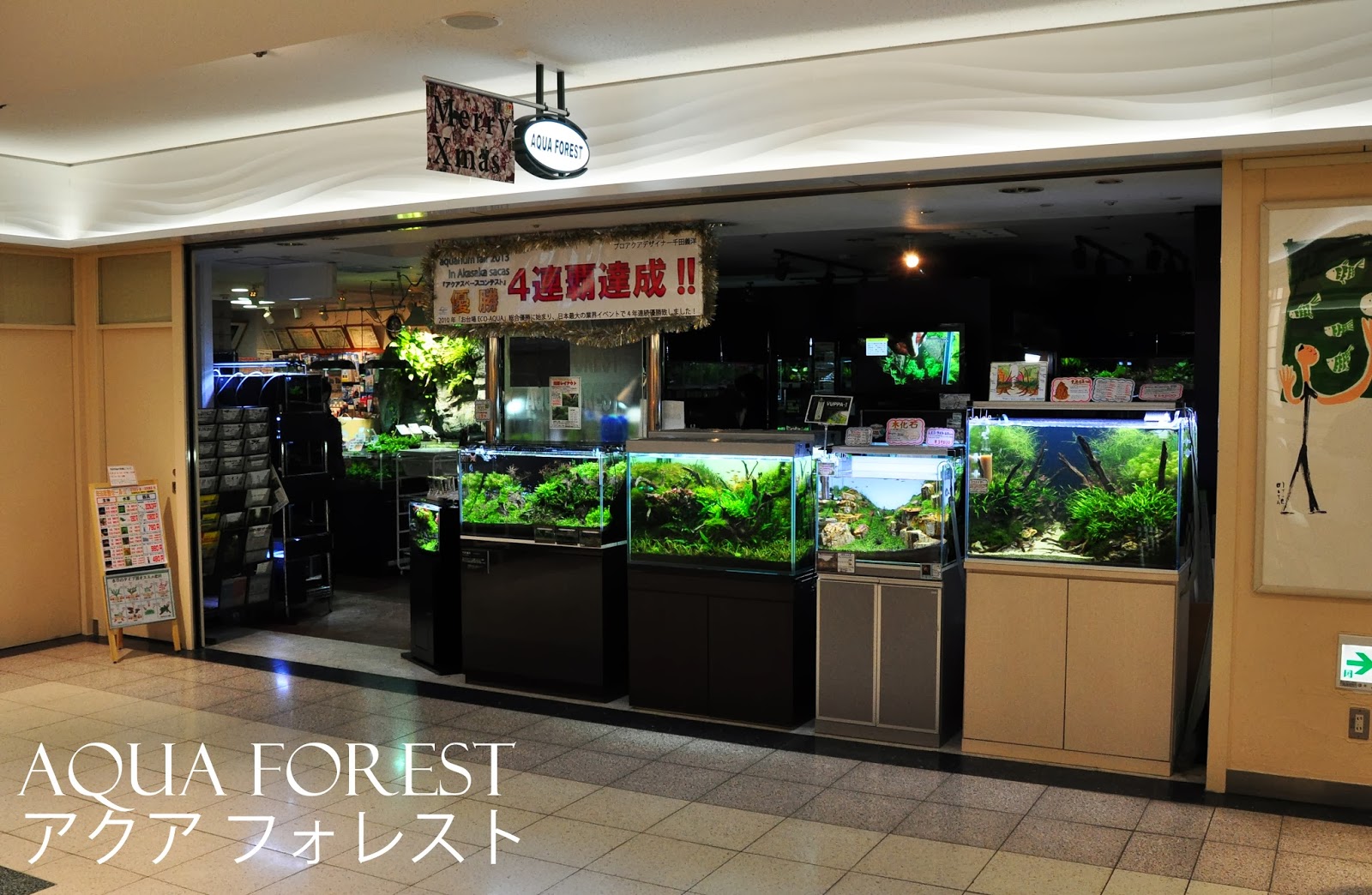 Tower the Rider: Aqua Forest | アクアフォレスト