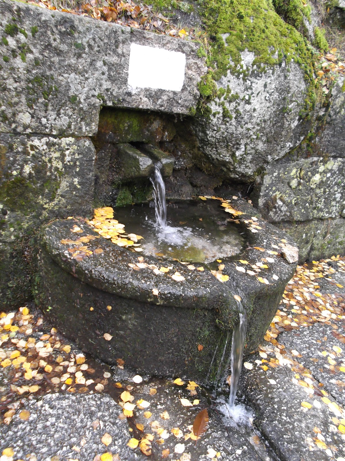 Chá de Limonete: novembro 2012