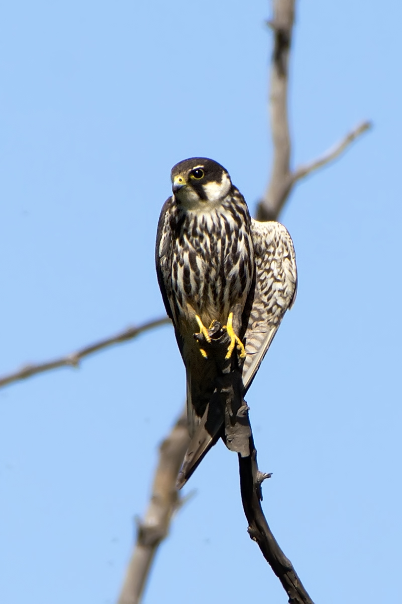 Archivo Natural Fotográfico